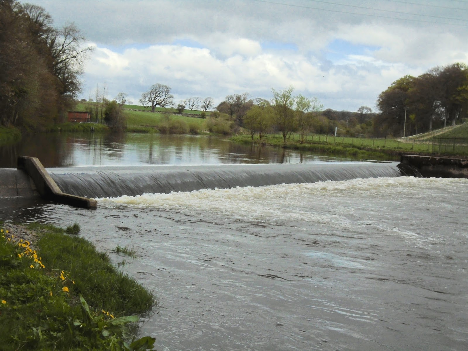 Gavin Graham's Blog: Up and Down the River Annan