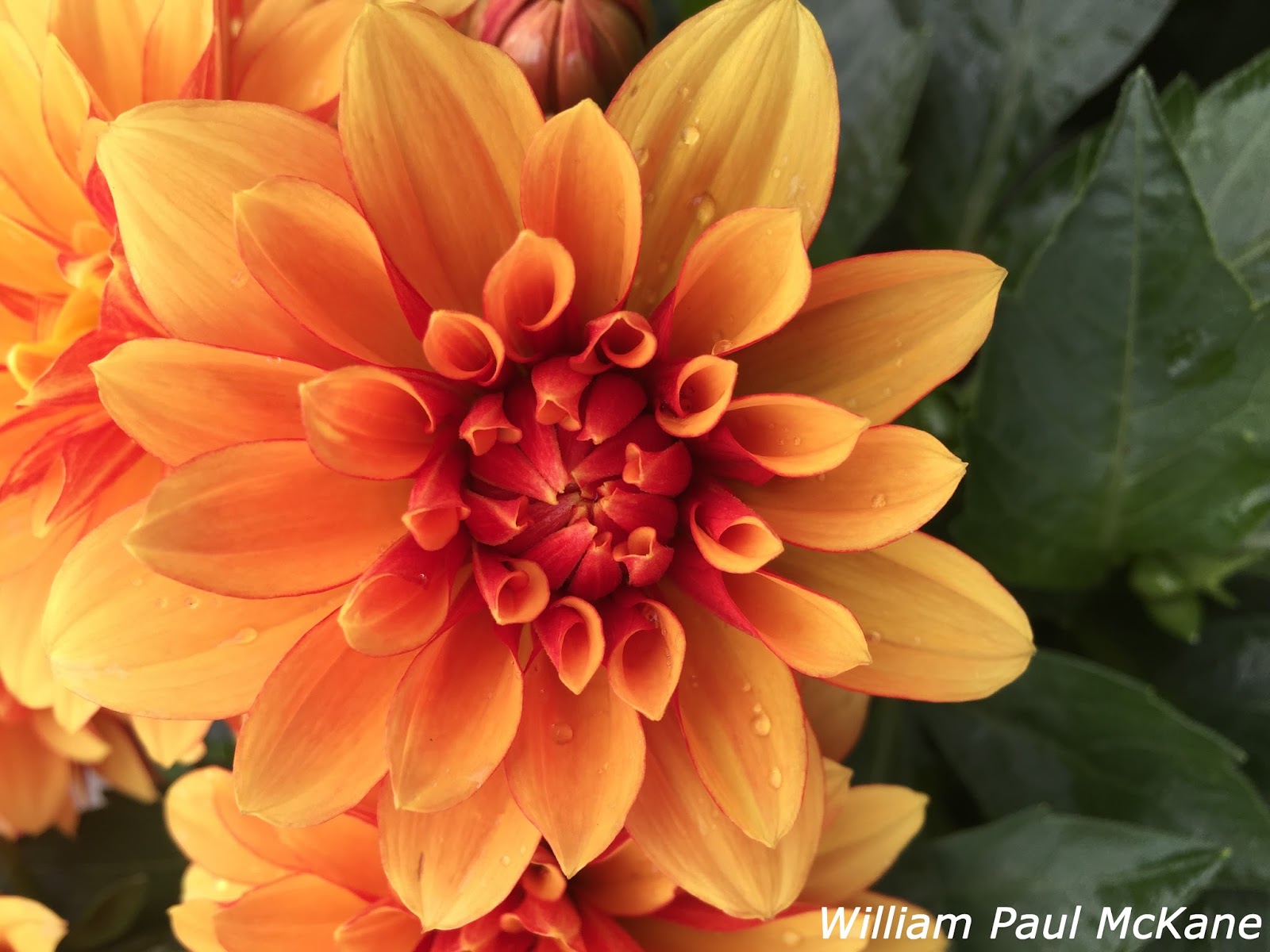 Zetesis - ζήτησις: 2017