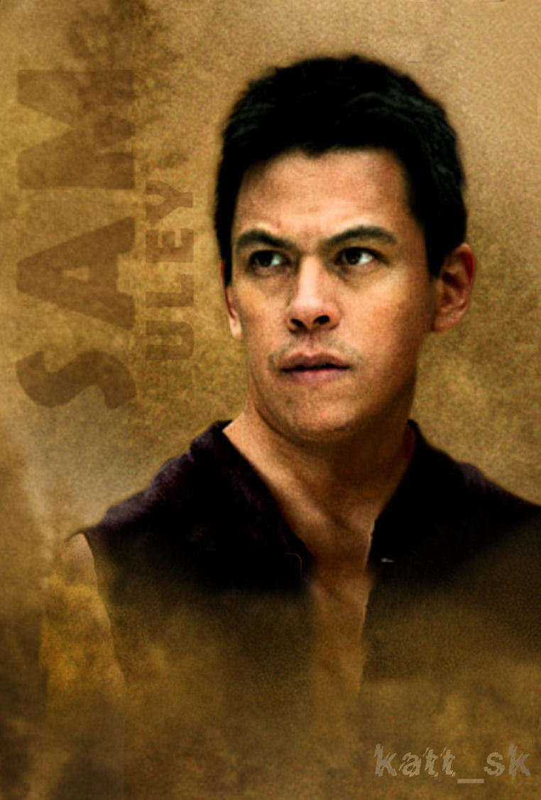 Turn It UP: Twilight Werewolves Characters