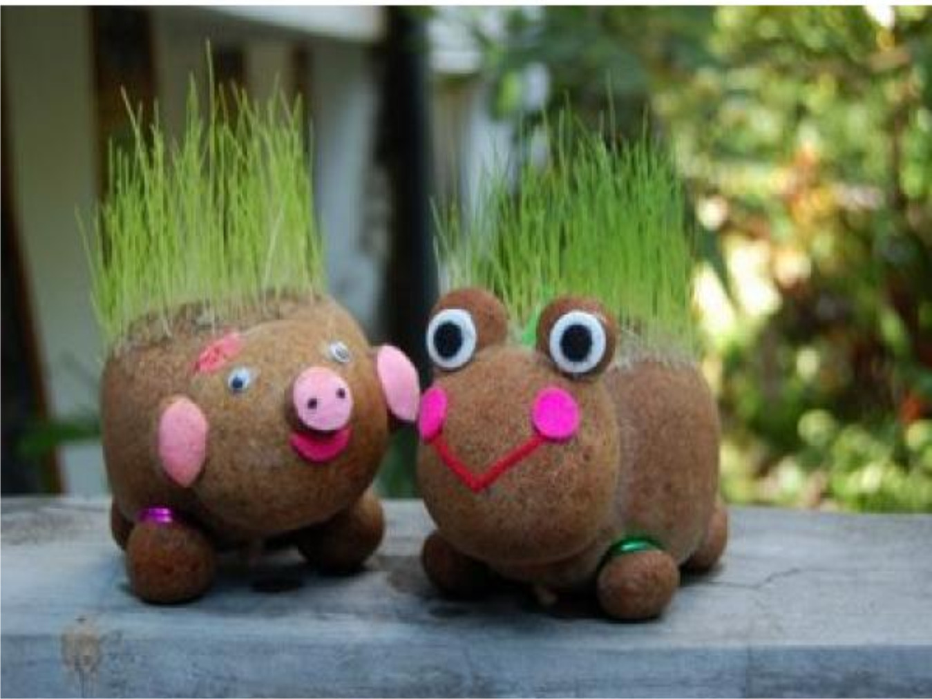 Boneka Potty Wonogiri: Boneka POTTY dan HORTA