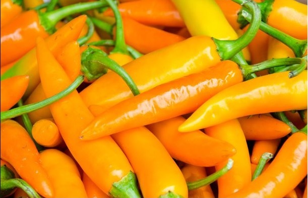 Peruvian Cookery at Cactus Kitchens with Encona | simply.food