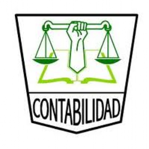 Contaduría Pública: La Profesión de la Contaduría Pública