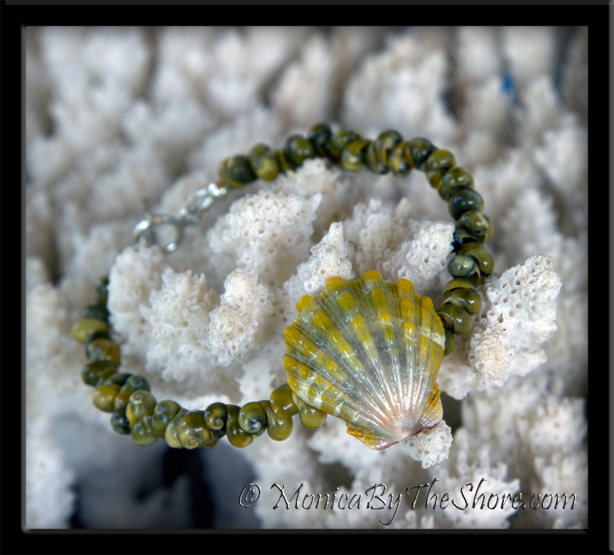 Monica's Blog: Unique New Sunrise Shells Designs from the North Shore ...