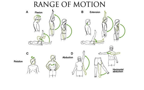 Pengertian Range of Motion (ROM) - Pengertian Komplit