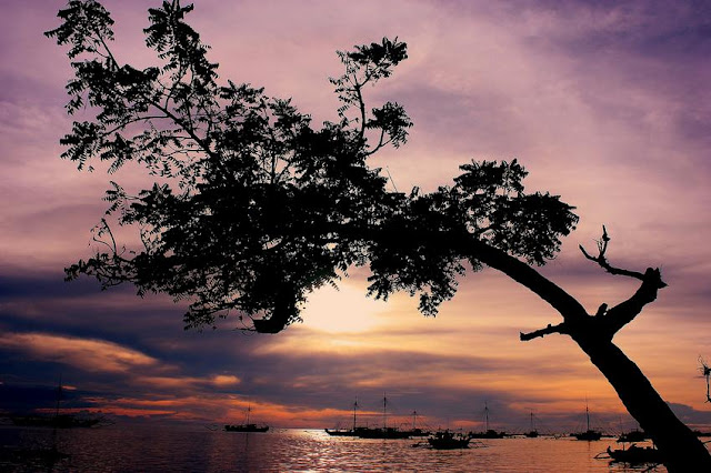 El Viajero: Define Tranquility