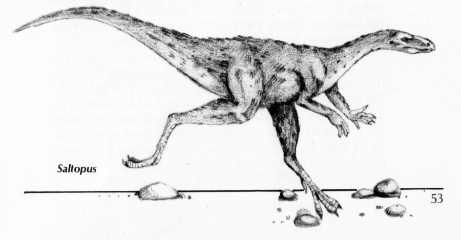 Love in the Time of Chasmosaurs: Vintage Dinosaur Art: Dinosaur Mysteries