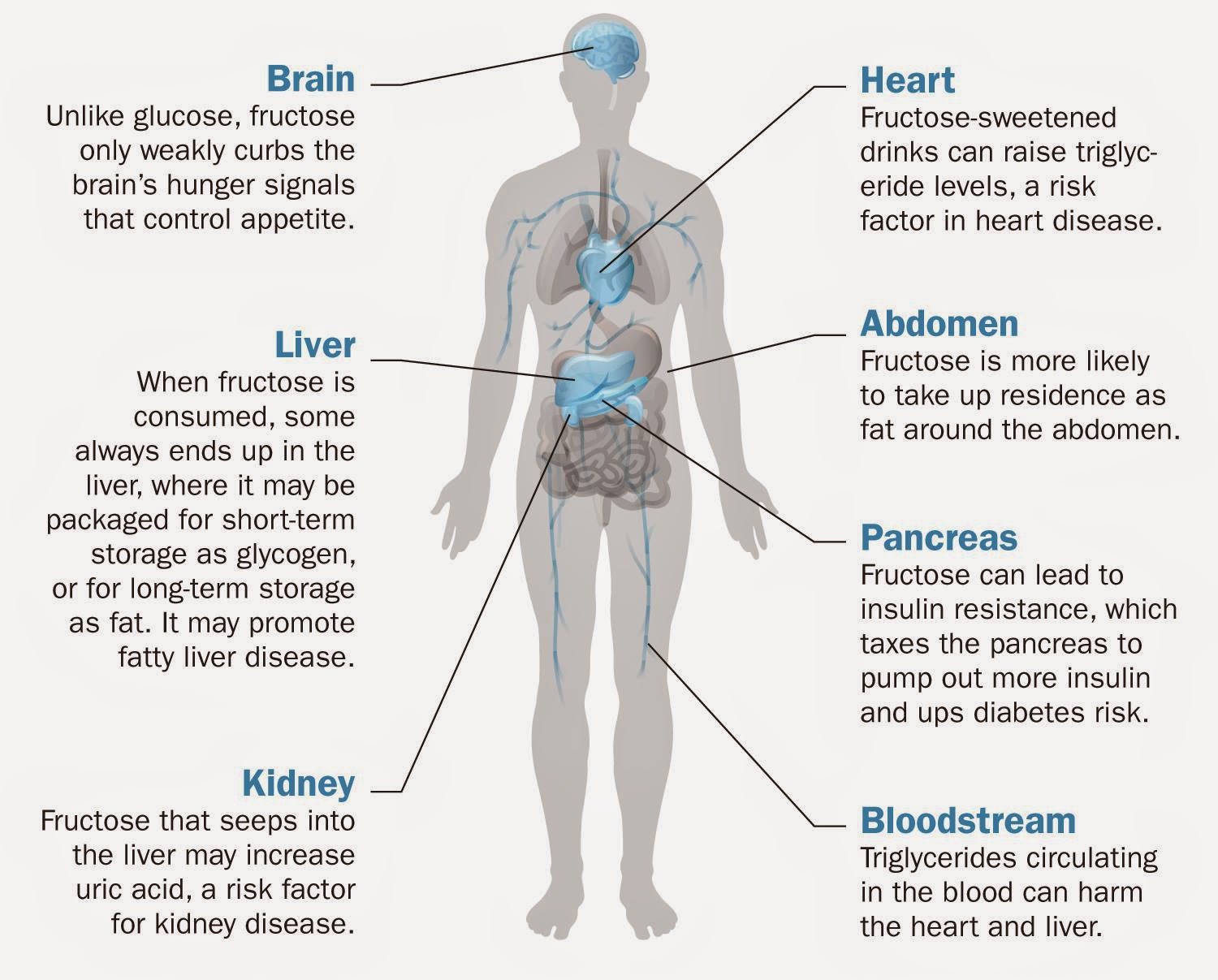 Texas Metabolics: Why Sugar is Toxic to the Body and in particular the ...