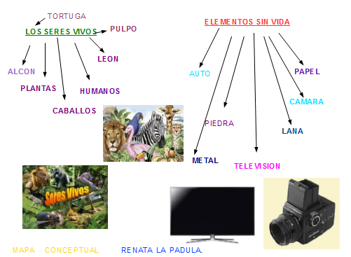 Escuela 11 DE 9 "Manuela Pedraza": Seres Vivos y Elementos SIn Vida - 3 B