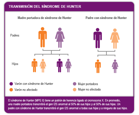MEDICINA Y SALUD: SÍNDROME DE HUNTER