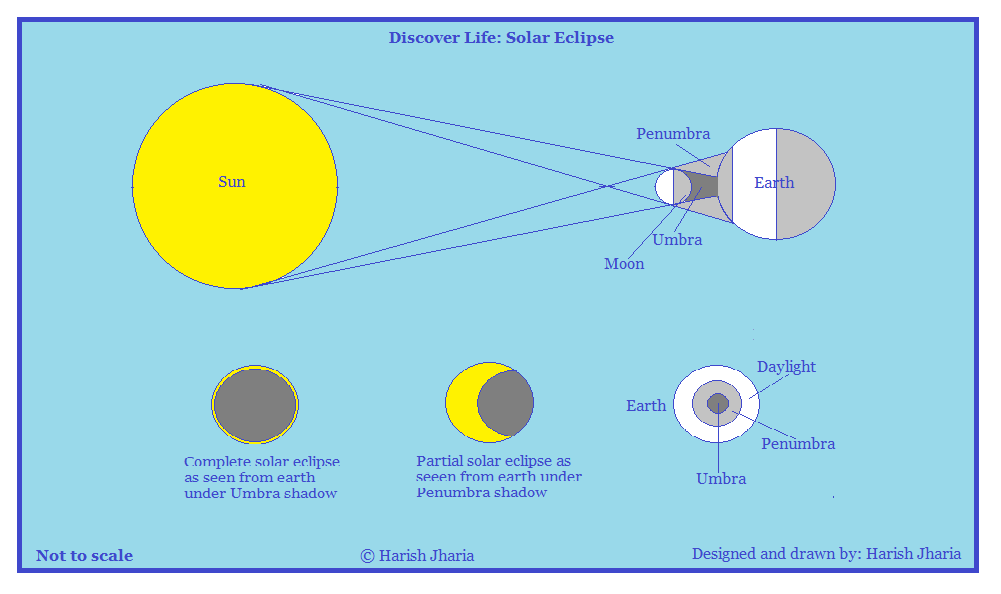 Discover Life: Solar Eclipse: How the Sun Turns Dark Under Eclipse