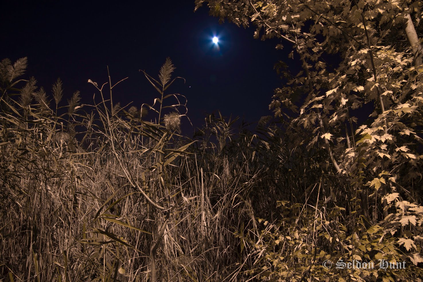 Seldon Hunt works and process