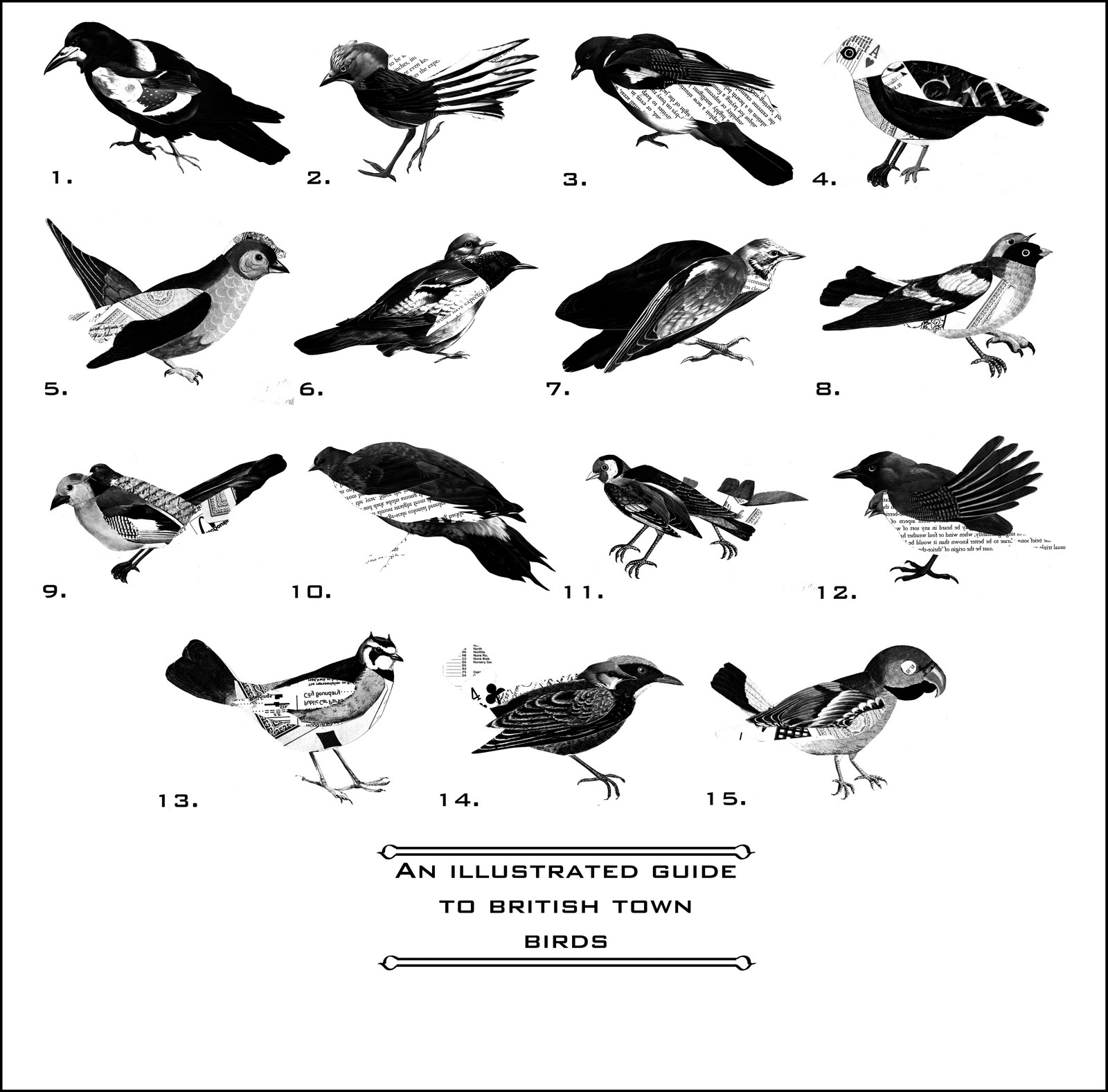 Fairchilds little things...: An Illustrated guide to British Birds.