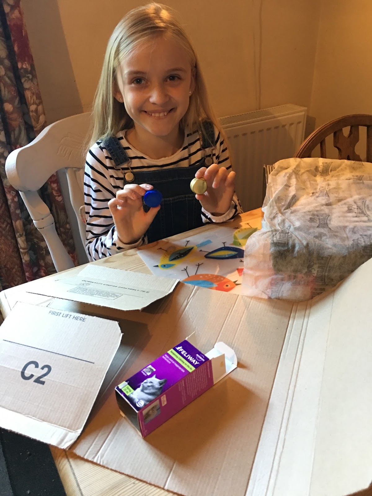 Junk modelling with recyclables & news of how you can meet the star of ...