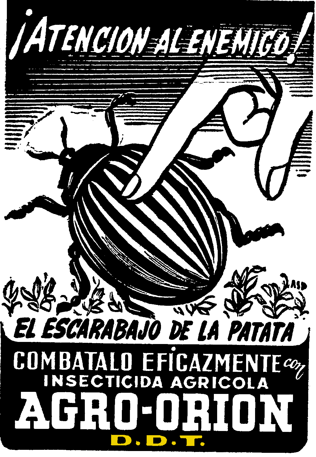 Enroque de ciencia: DDT, el insecticida polémico