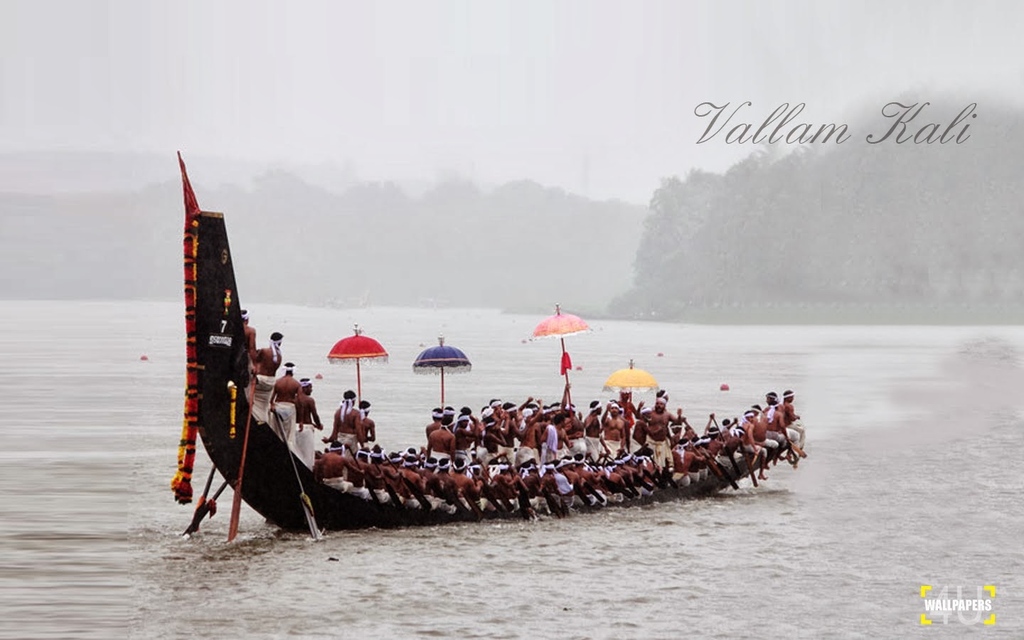 WALLPAPERS - FREE DOWNLOAD: FESTIVAL - WALLPAPERS