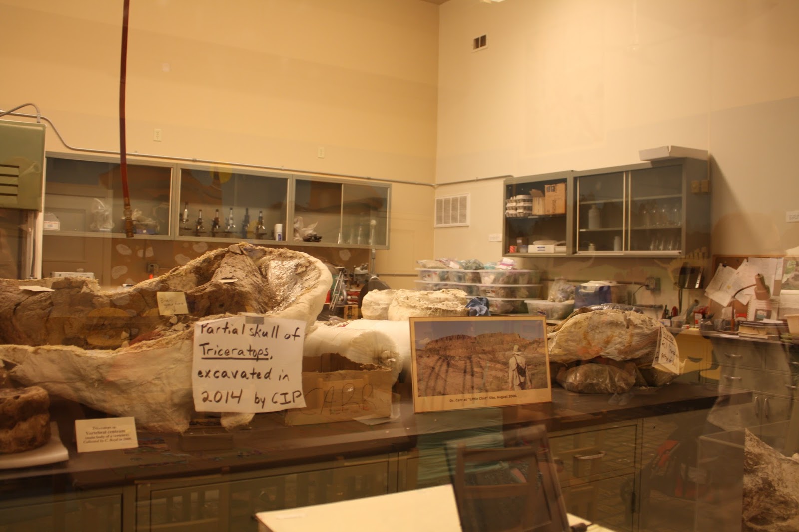 A Little Time and a Keyboard: Dinosaur Discovery Museum in Kenosha ...