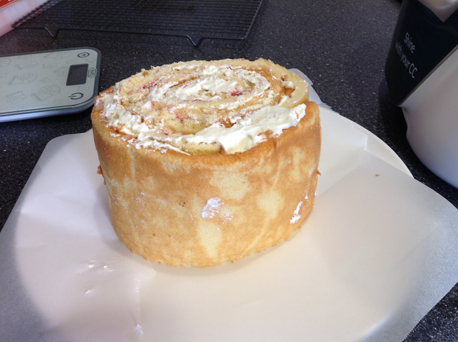 My Tefal Cuisine Companion Journey: Vertical Sponge