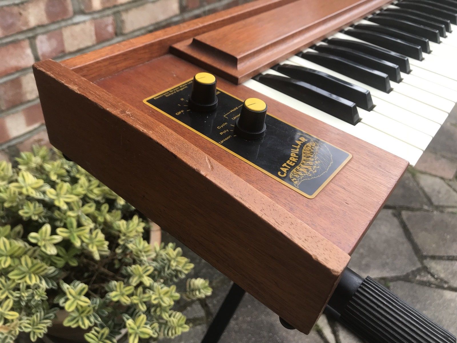 MATRIXSYNTH: RARE EDP Caterpillar for EDP Wasp Gnat Synth