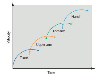 Biomechanical Principals of the Netball shot