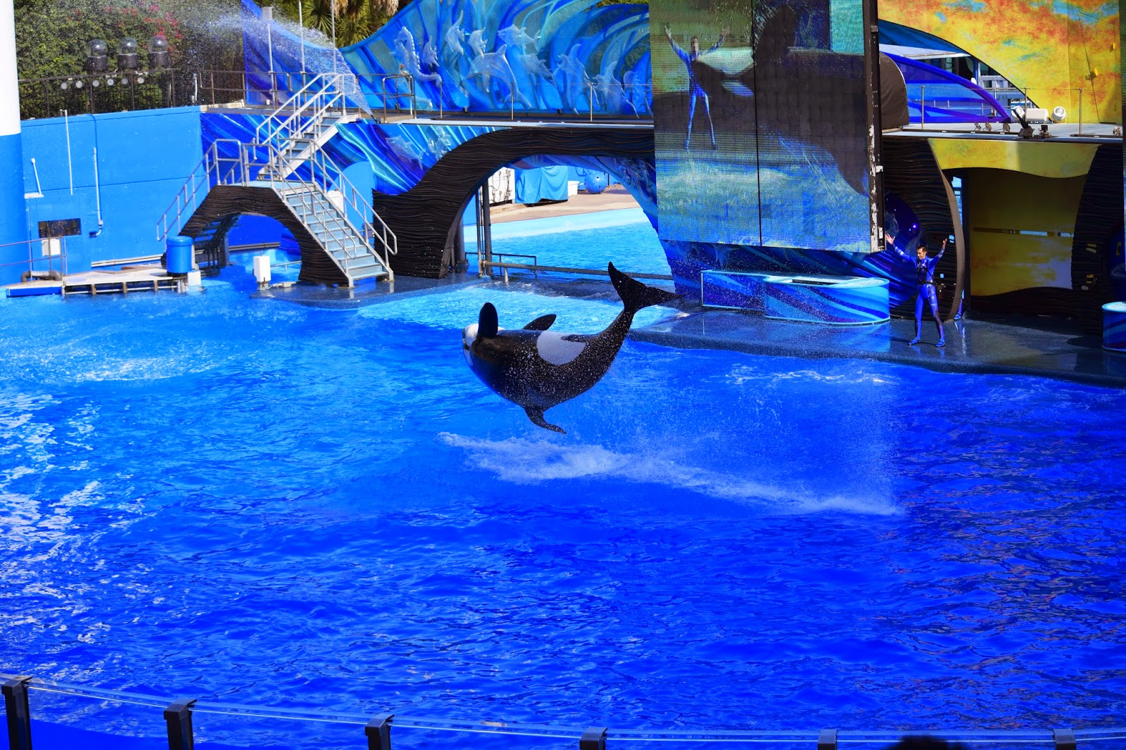 A Sweet Beginning: Sea World