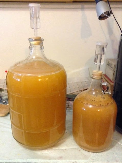 Random Fermentations: Apple Cider, Apple Wine