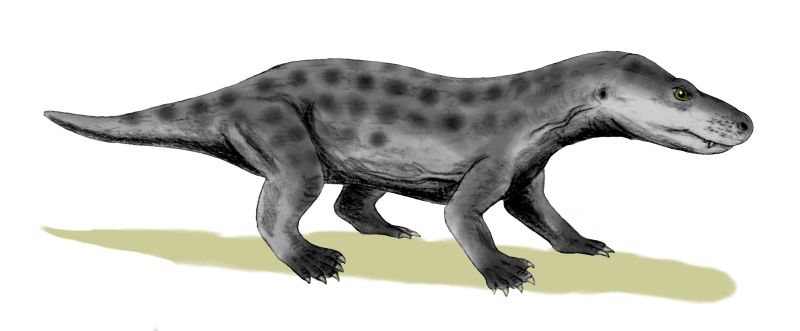 Los animales en la prehistoria: Animales prehistóricos con la letra E