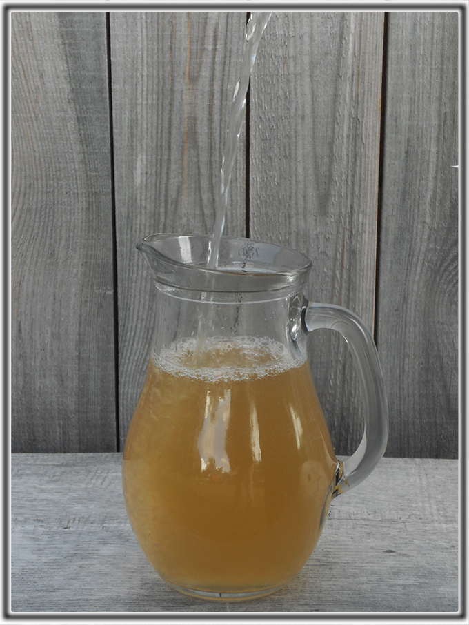 Gör egen kombucha! Scoby svamp till salu, skickas med vanlig post på 1 ...