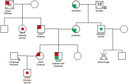 Handy Genogram Software for Mac, Windows and Linux