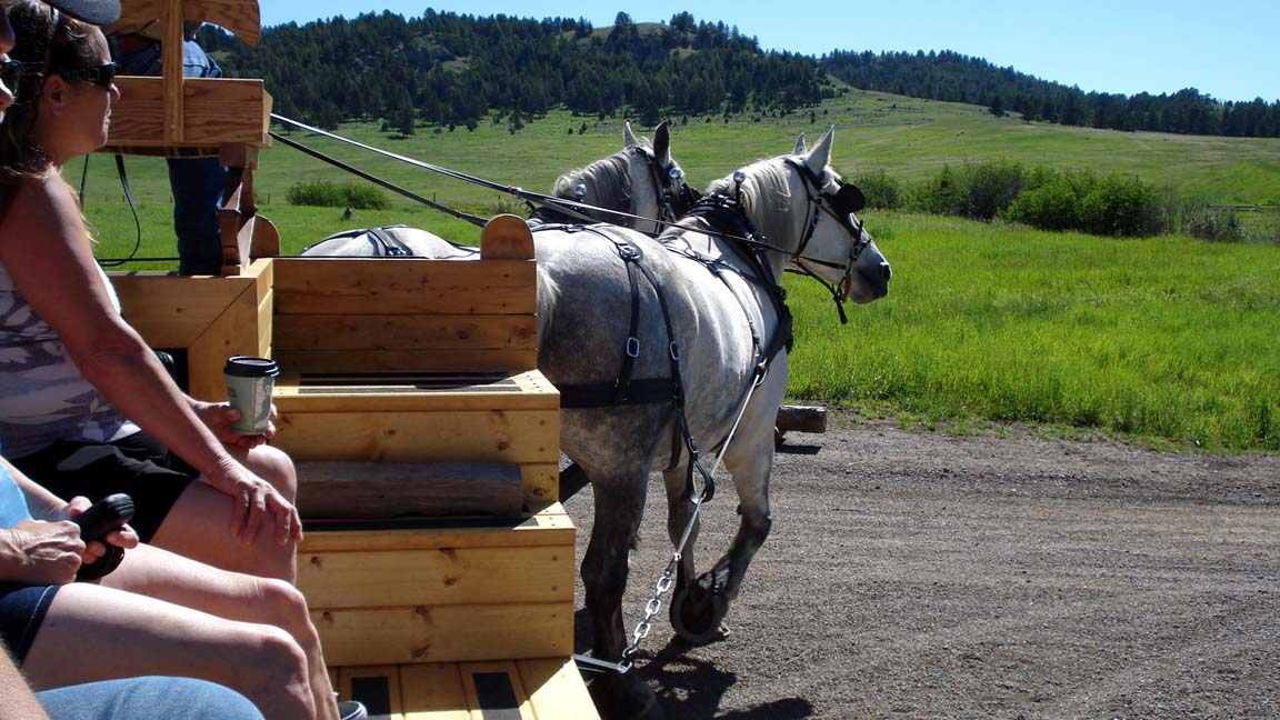 Our Marlboro Ranch/Crazy Mountain Ranch Adventure - June 28-July 1, 2013