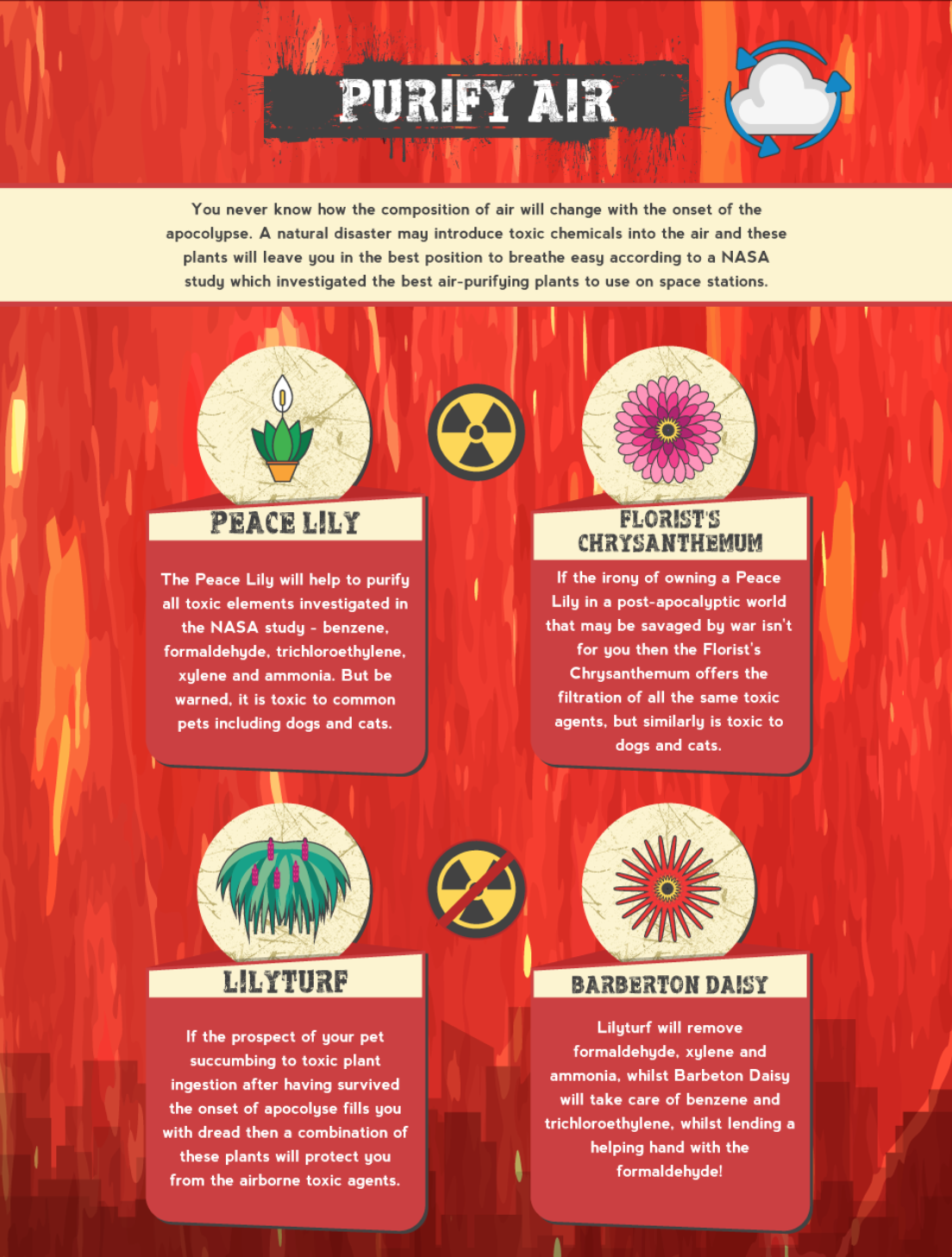 Skip's House of Chaos: What to Grow to Survive an Apocalypse