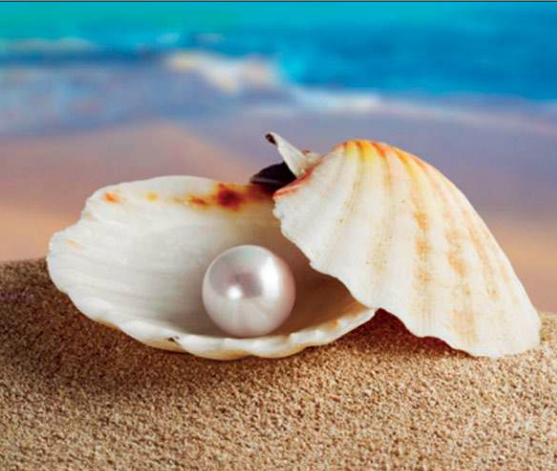 How is a pearl formed inside the seabed oyster? Which has been the ...