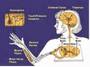 Physical Sensations Commonly Associated With Different Feelings ...