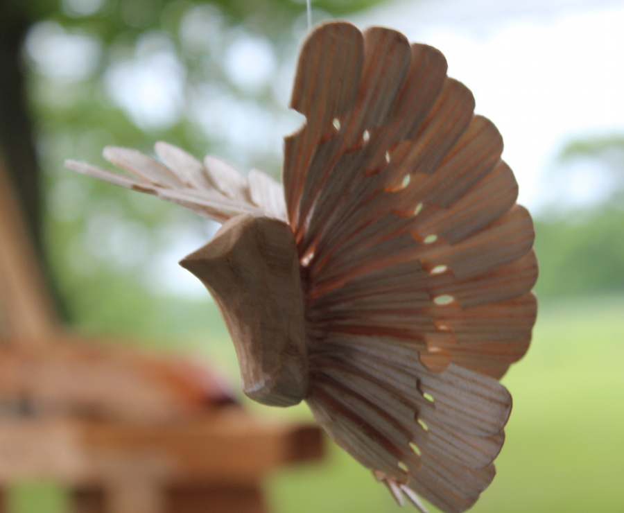 Sean Hellman: Coppice Week and fan birds