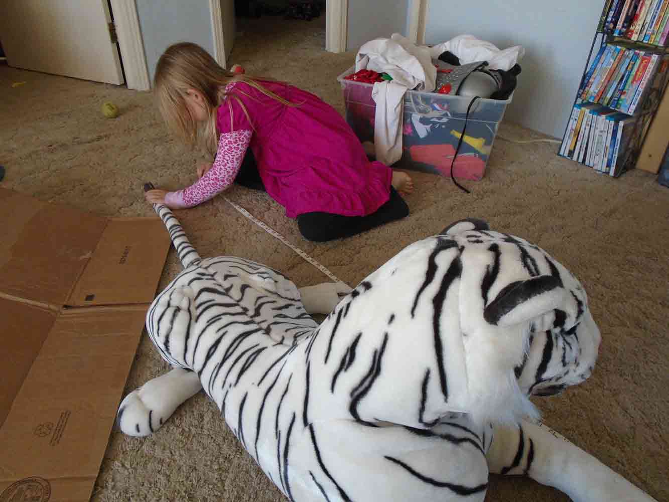 Our Home on the Range: Measuring a Tiger