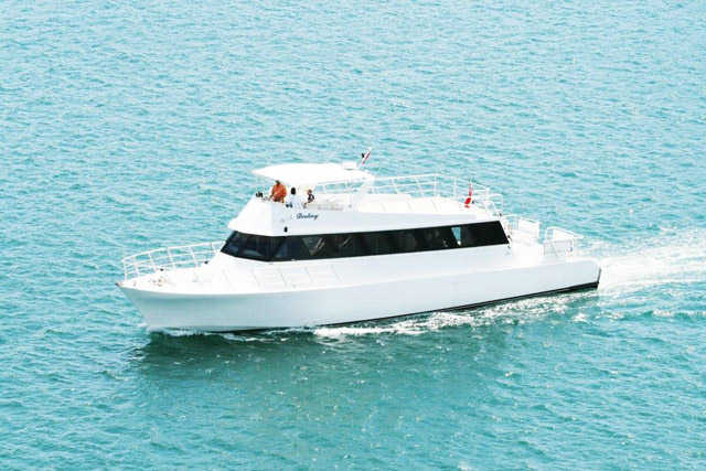 Destiny Water Tours Bermuda - Blog