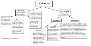 The Dynamic Earth: Sole-Saving Sed Structure Sunday!