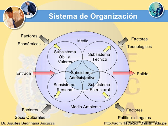 La Teoría Organizacional Por Javier Araque 2016