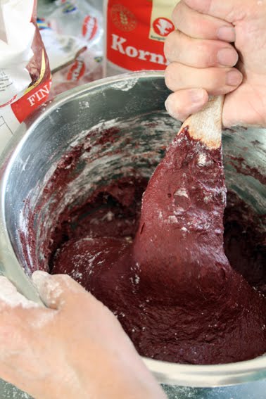 end of the day: Kämsen- Blodpalt