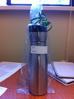 Eva moves to Canada: Hatley Castle in winter times