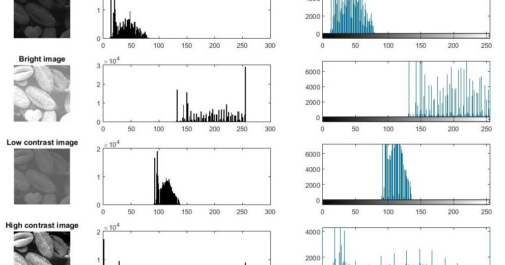 MATLAB Works: Histogram Processing in MATLAB