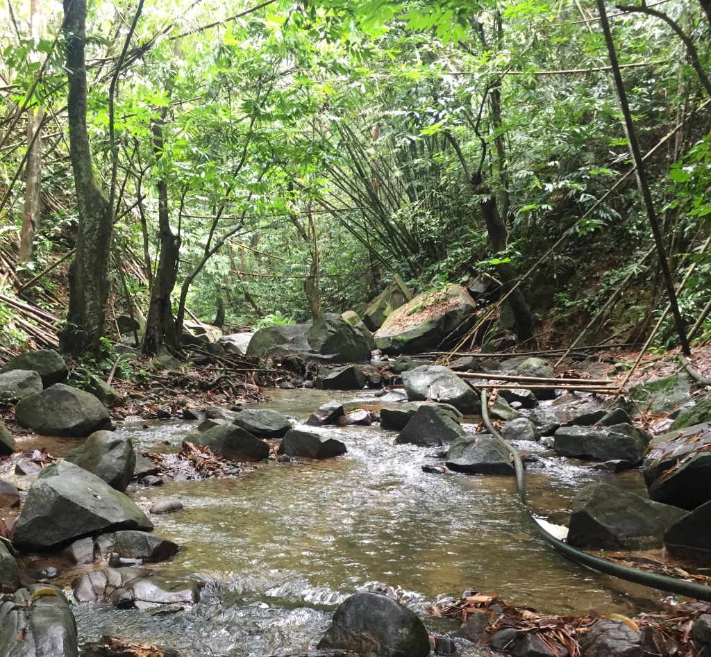 Selangor State Park - Taman Warisan Negeri Selangor: Sungai Gabai Waterfall