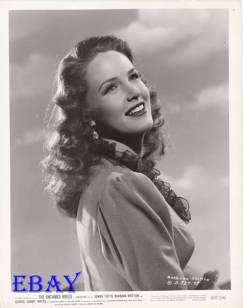 Slice of Cheesecake: 2018