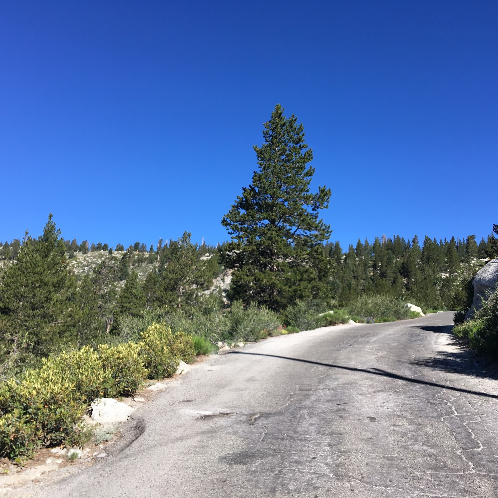 Tale of CA 168 West and the failed Piute Pass Highway; the climb to ...