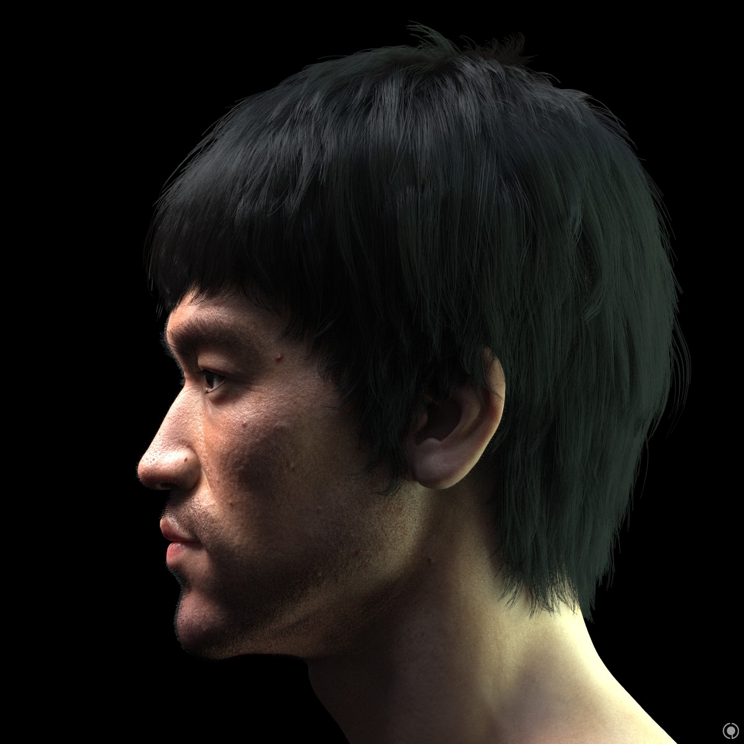 CG Portrait of Bruce Lee | Computer Graphics Daily News
