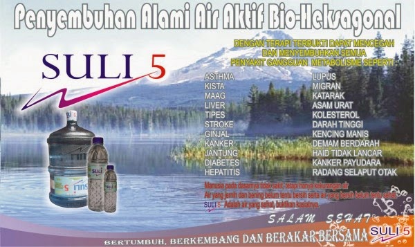 Zhaliha: AGEN RESMI SULI 5 KECAMATAN WIDODAREN