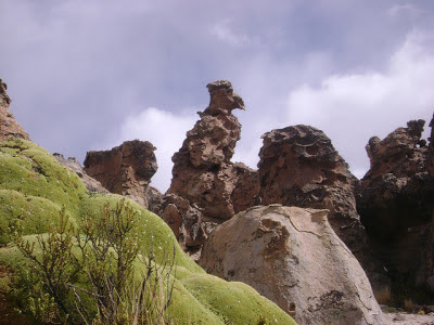 Paseo Perú: Un viaje a Arequipa conociendo el misterioso Bosque de ...