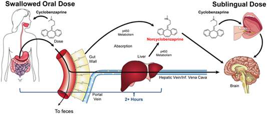 TEKNIK PEMBERIAN OBAT SECARA ORAL, SUBLINGUAL, PARENTRAL, DAN ANAL ...