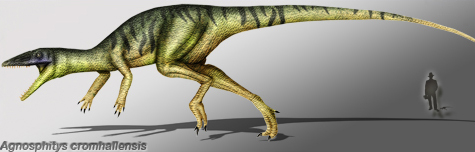 Los animales en la prehistoria: Animales prehistóricos con la letra A