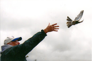 Hawk Ridge Legacy : Hawk Ridge Bird Observatory