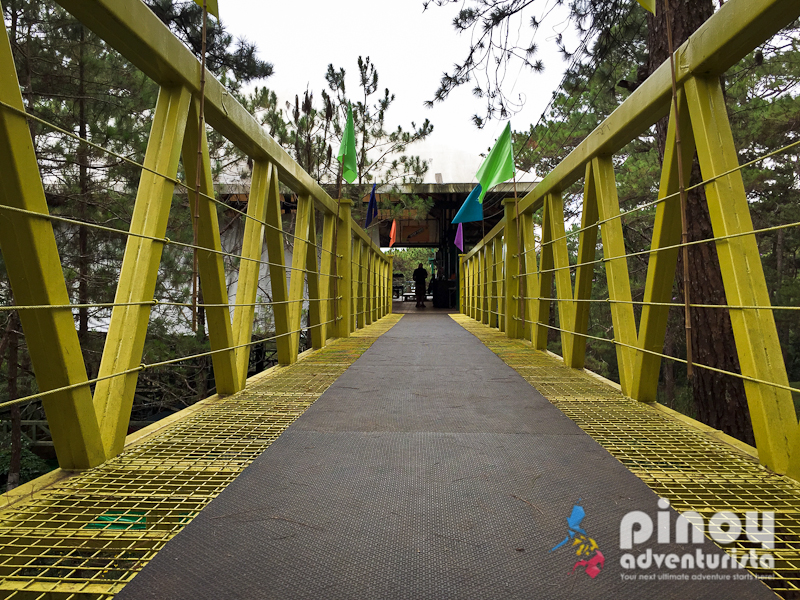 Experience Fun and Adventure at Tree Top Adventure Baguio City! | Blogs ...